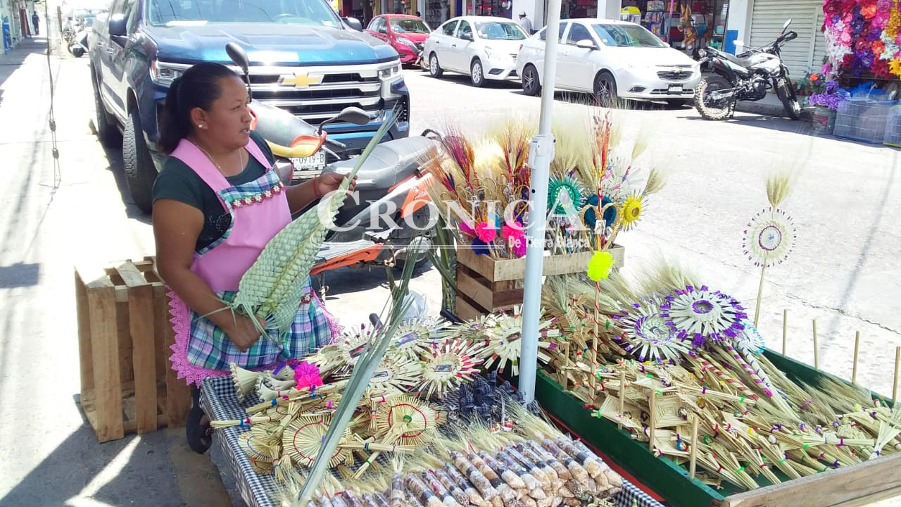 LLEGARON LAS PALMITAS PARA EL DOMINGO DE RAMOS - Crónica de Tierra Blanca