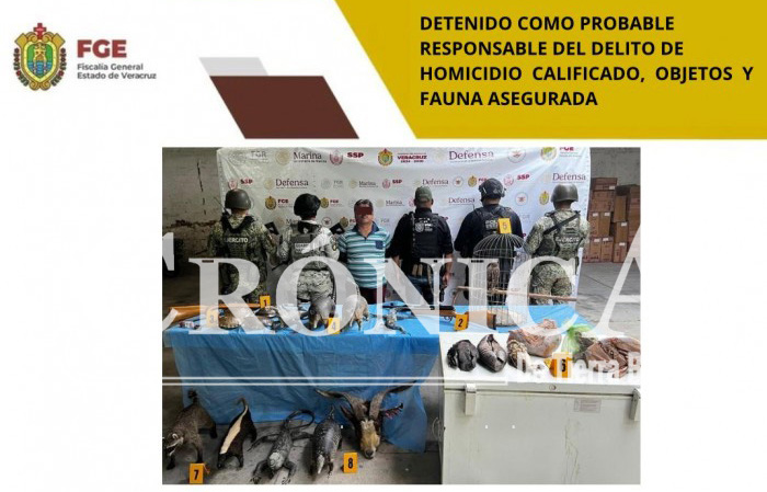 ASEGURAN ANIMALES DISECADOS Y ESPECIES PROTEGIDAS DURANTE CATEO EN ...