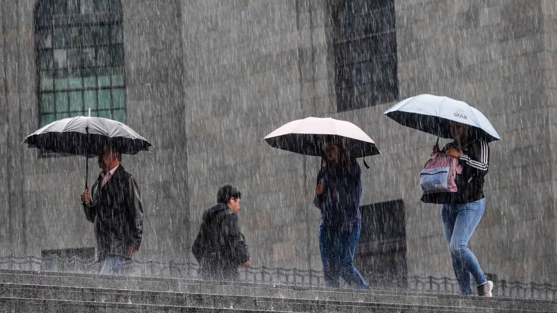 INVIERNO LLUVIOSO Y MENOS FRÍO DE LO HABITUAL EN VERACRUZ - Crónica de ...